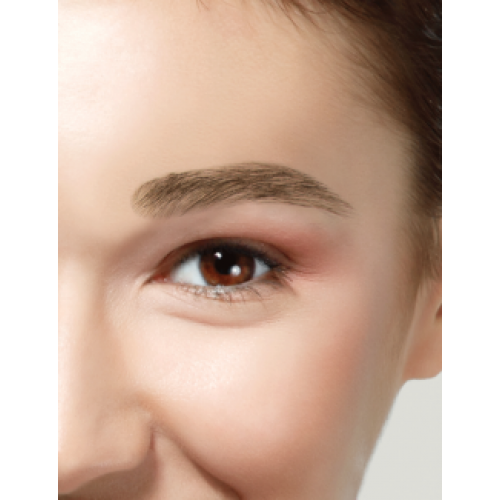 Dimples Natural Eyebrows - Style #22 - Wigs & Pieces